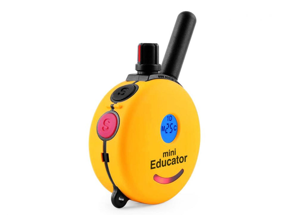 E-Collar Technologies ET-300 Mini Educator | Discreet E-Collar Training ...