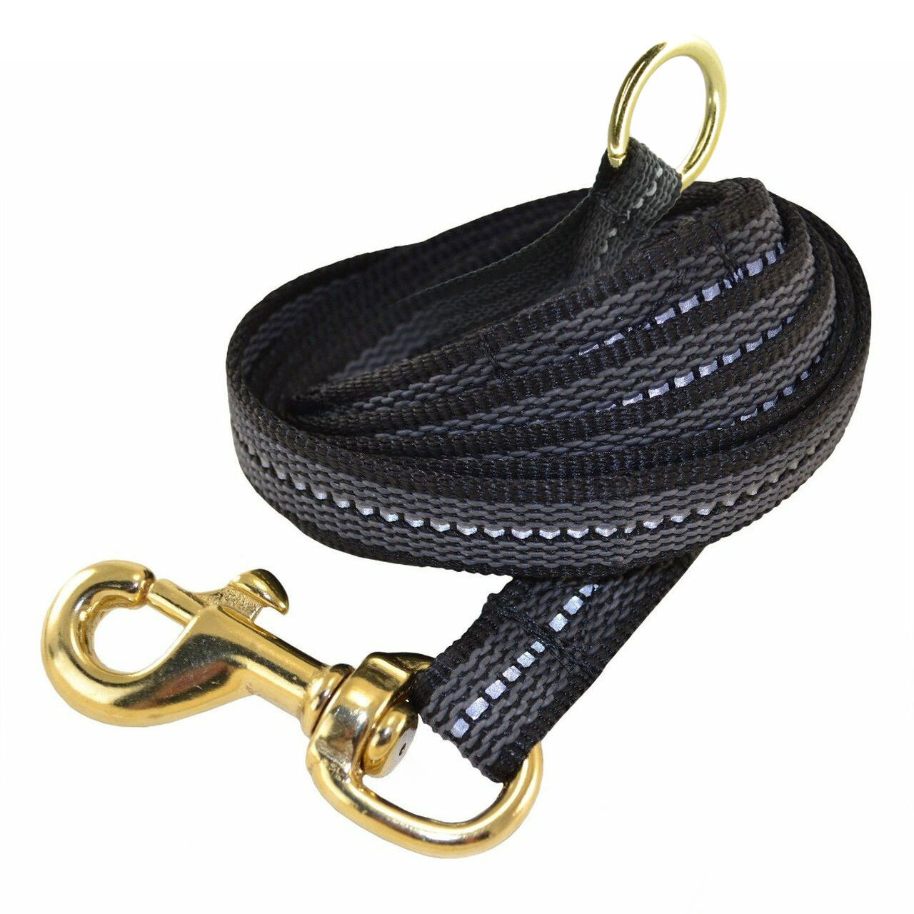 Super Grip Biothane Leashes | Hunting Dog Leads - Ray Allen Manufacturing