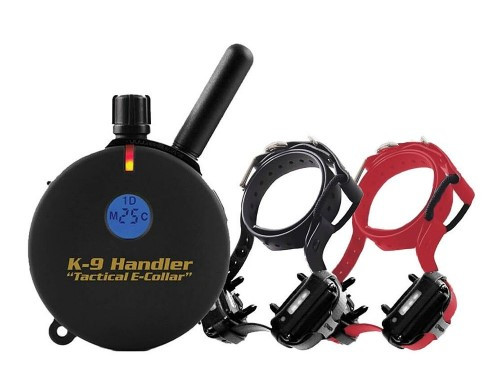 E-Collar Technologies K9-800 PLUS w/ Bungee Collar | 2-Receiver E ...