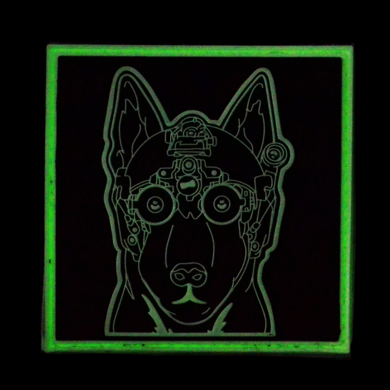 We Own The Night PVC Patch | Glow In The Dark | Tactical K9 Design