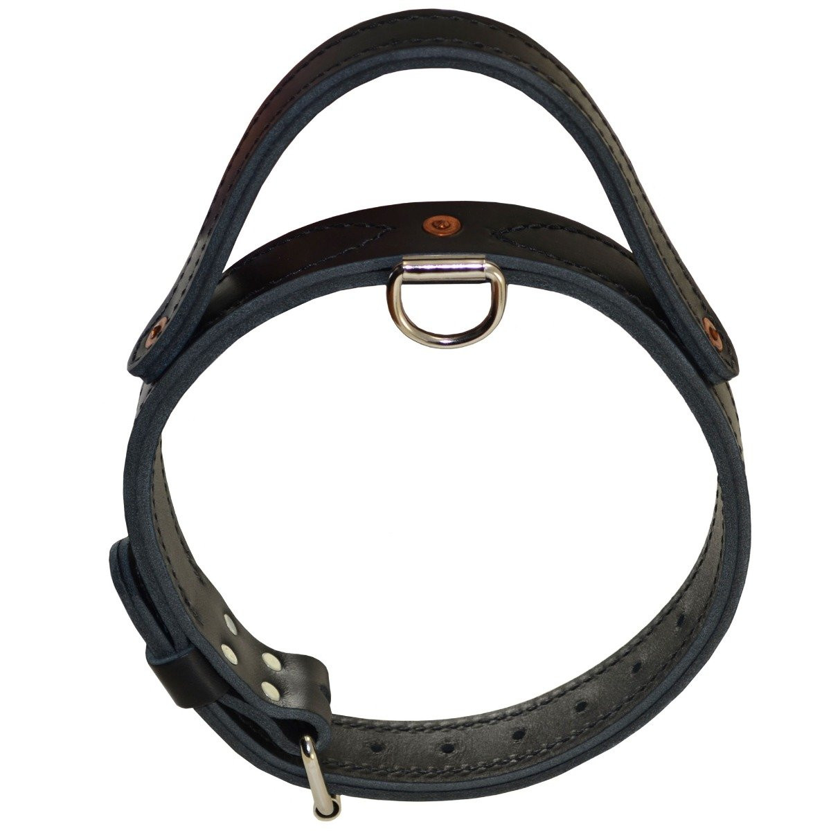 Tac-Black Leather Agitation Collar With Handle for Dogs - Ray Allen ...