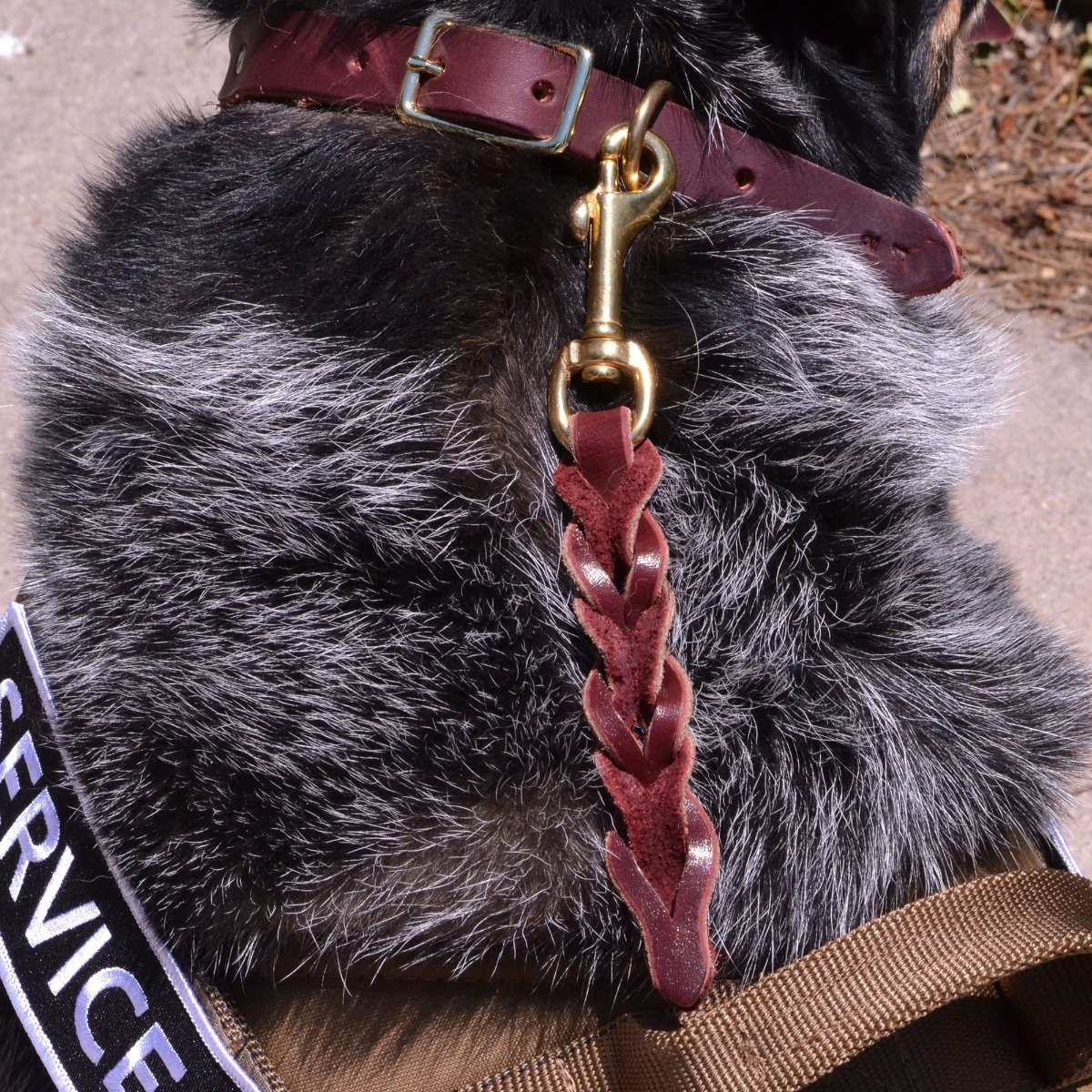 Braided Tabs | Training Tabs and Leather Dog Leashes - Ray Allen ...