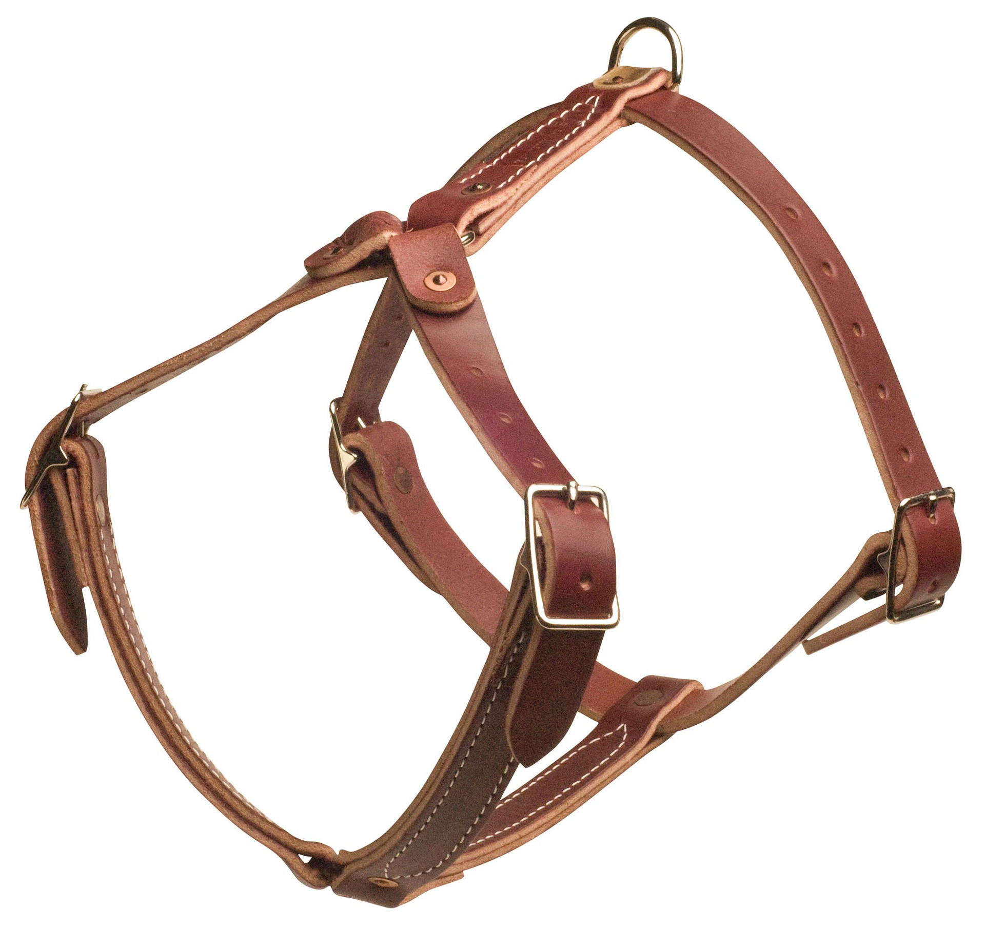 Leather Padded Tracking Harness | Hunting Dog Harness - Ray Allen ...