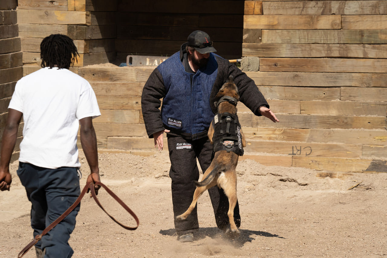 Advanced Decoy Dog Bite Training Suit - Ray Allen Manufacturing