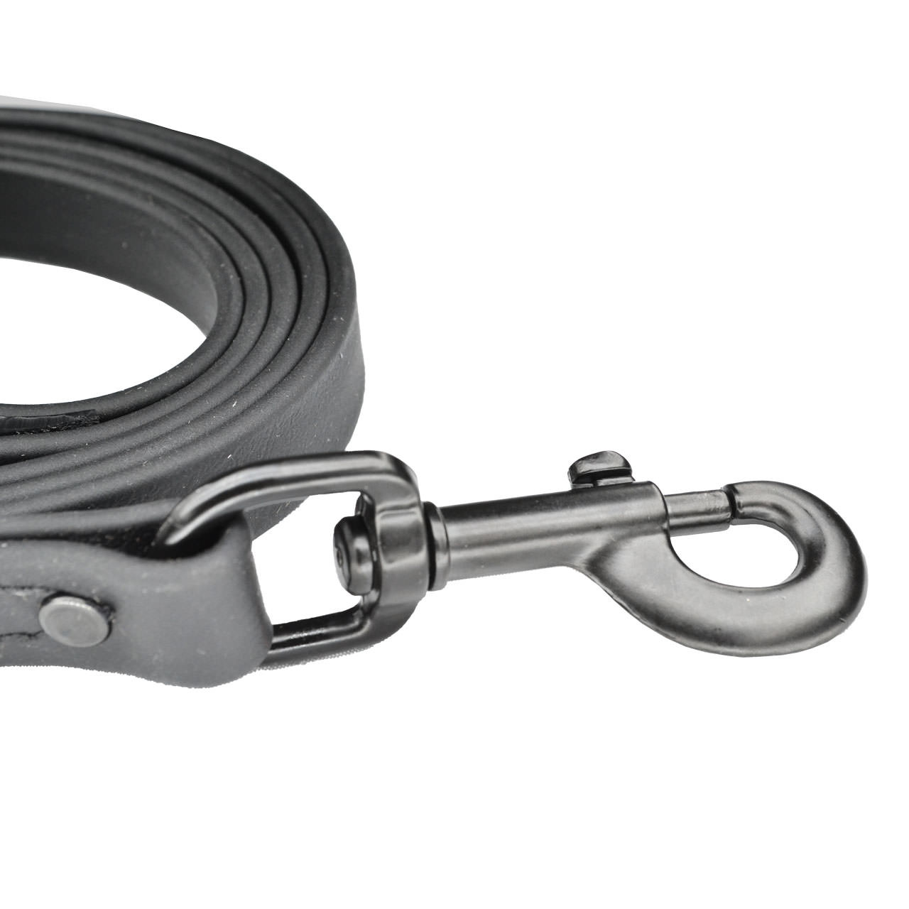 Biothane Dog Leash | Durable Training Gear | Weatherproof Leash