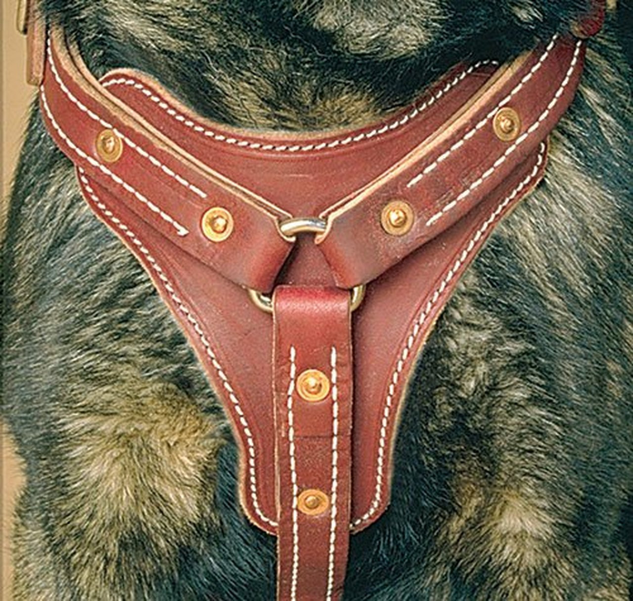 Leather Padded Tracking Harness | Hunting Dog Harness - Ray Allen ...