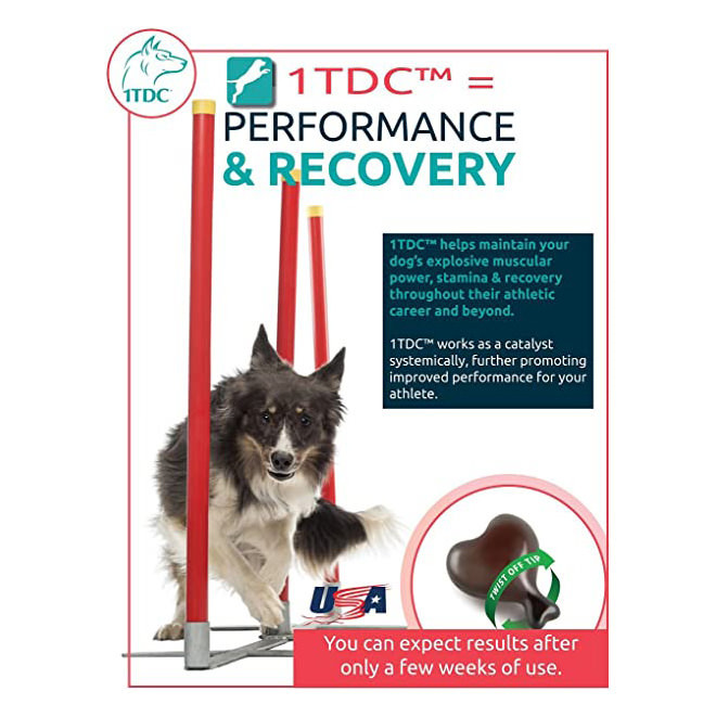 1-TDC Canine Periodontal & Joint | K9 Pain Relief - Ray Allen Manufacturing
