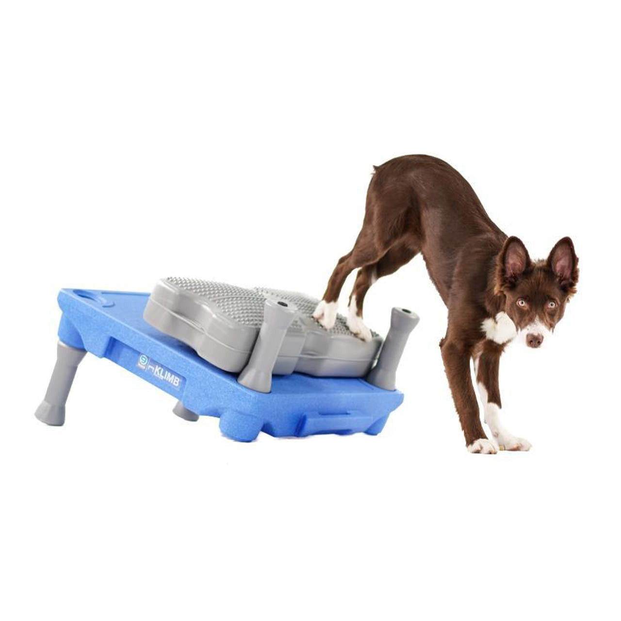KLIMB Propel Air Platform | Balance Training For Dogs | Dog Conditioning