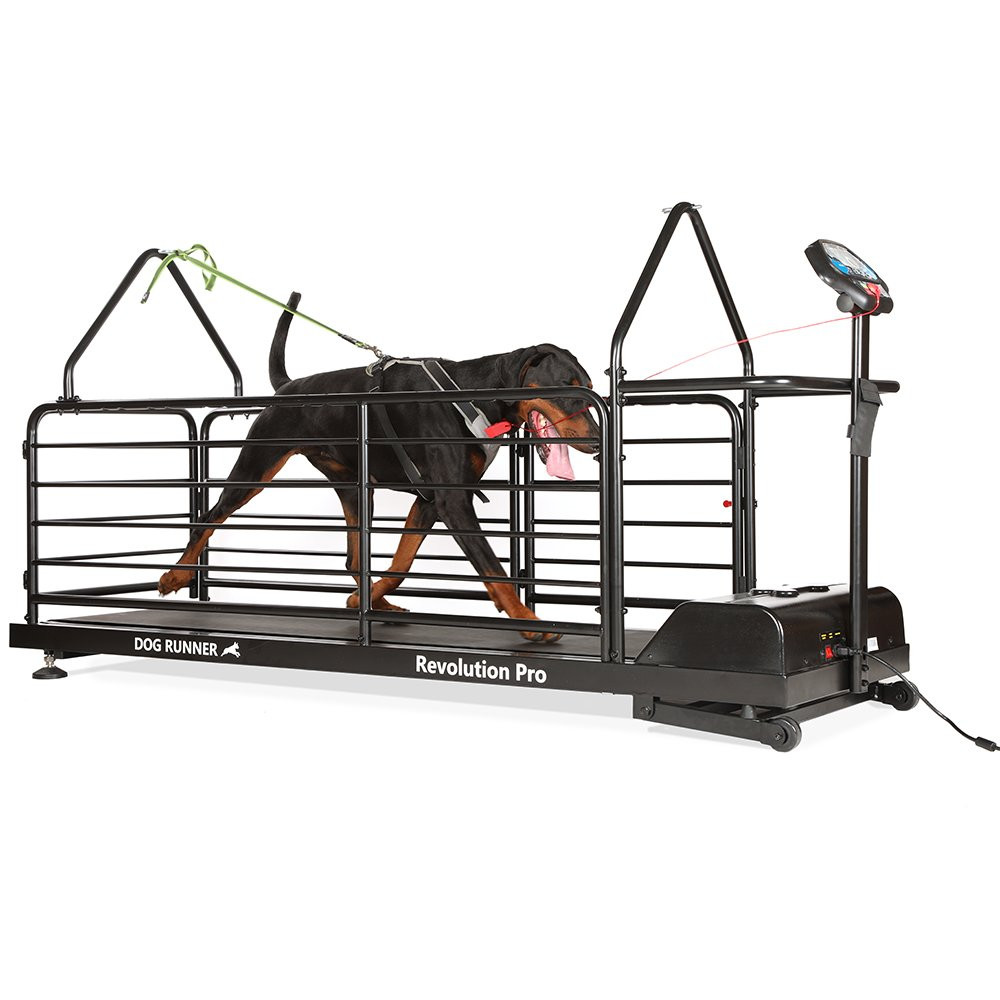Dog Runner Revolution Pro Treadmill | K9 Strength & Endurance | Canine ...