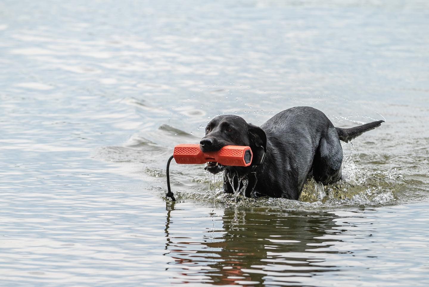 GUNNER® Bumper | Gun Dog Training Tool | Retrieval Float