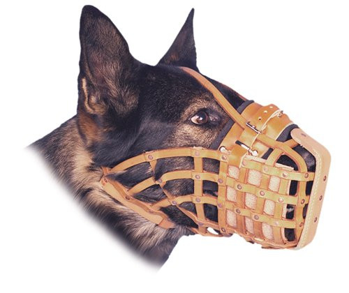 German Leather Dog Muzzles | High Quality - Ray Allen Manufacturing