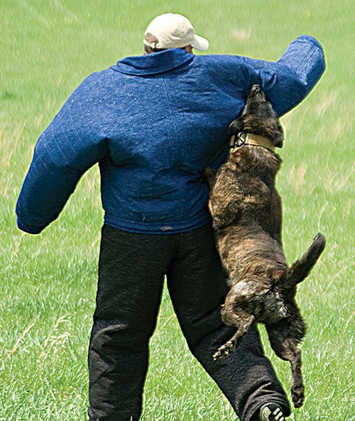 Ultra Kimono Bite Suit w/ Police Package | Police K9 Application - Ray ...