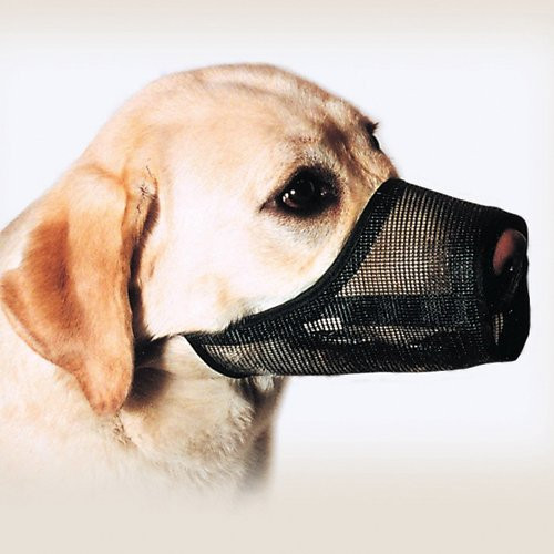 lightweight greyhound muzzle