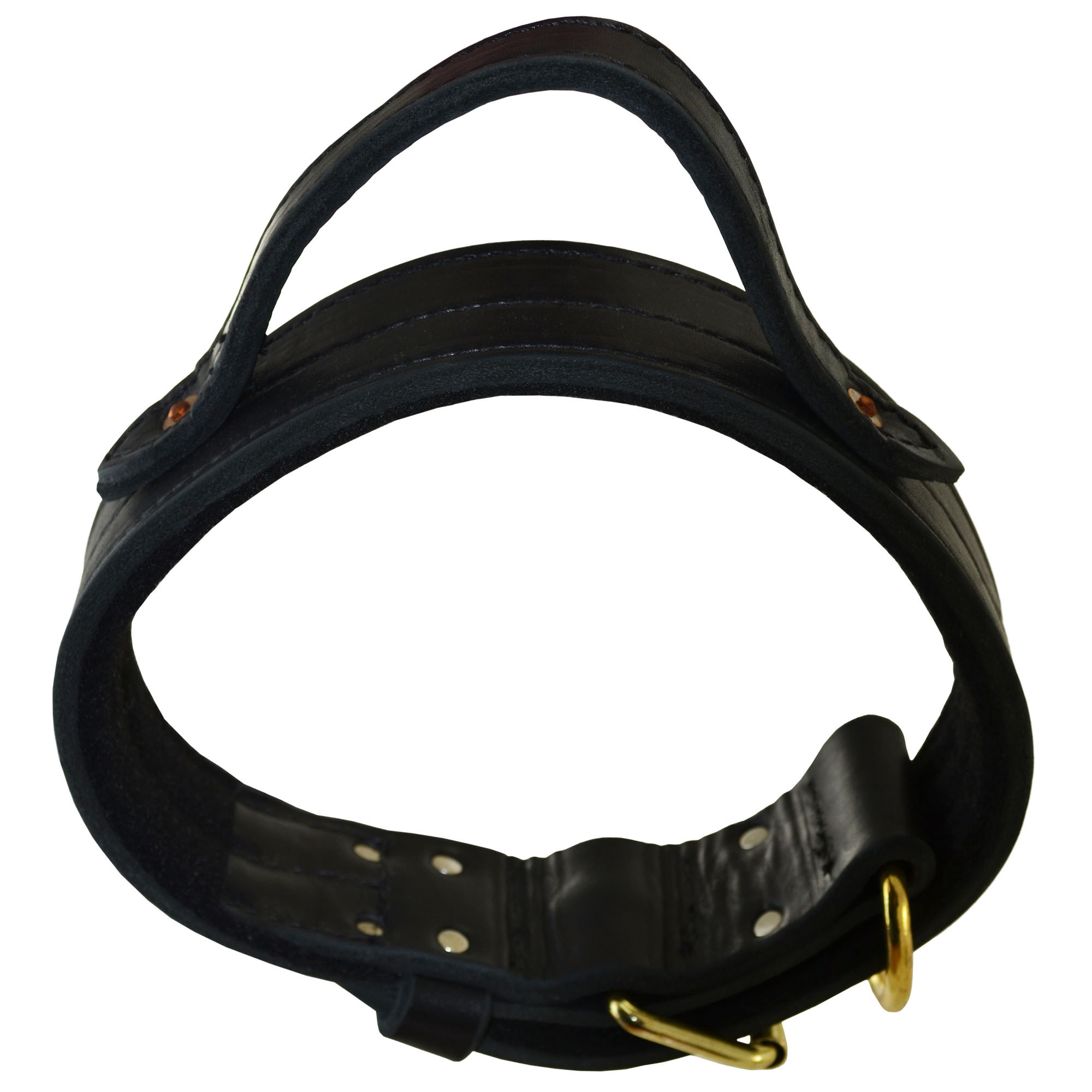 Heavy Leather Agitation Felt Collar | Padded Dog Collar | Made in USA