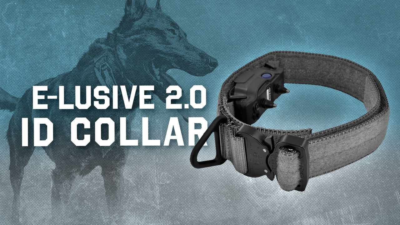 The E-Lusive 2.0™ ID Collar | Discrete All-in-One Training Collar - Ray ...