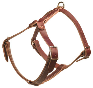 Nylon Tracking Harness | Working Dog Supplies - Ray Allen Manufacturing