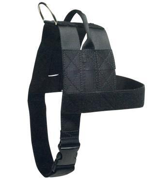 Ultimate Harness | Modular Tactical Harness - Ray Allen Manufacturing