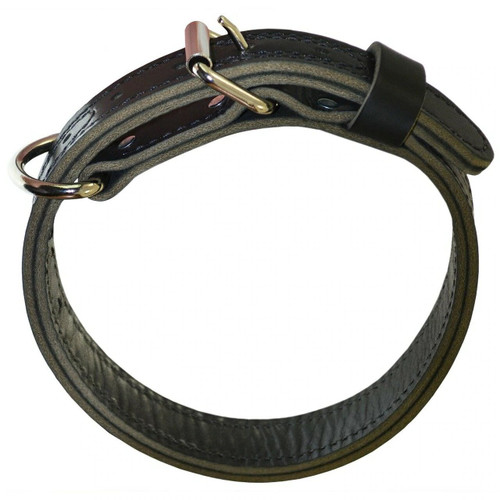 Military Spec Collar for Dogs | Durable - Ray Allen Manufacturing