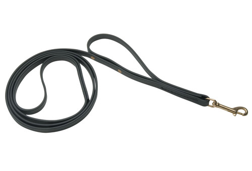 Biothane Lead with Extra Handle | Dog Leash - Ray Allen Manufacturing