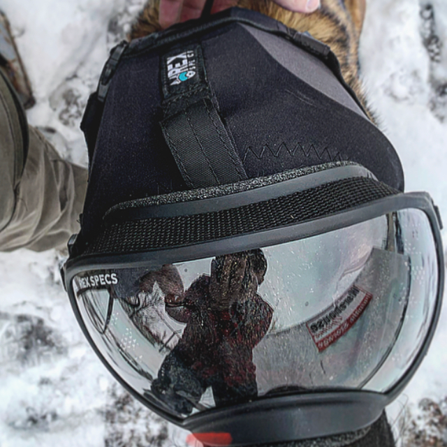 Rex Specs Ear Pro | Working Dog Hearing PPE | K9 Ear Protection