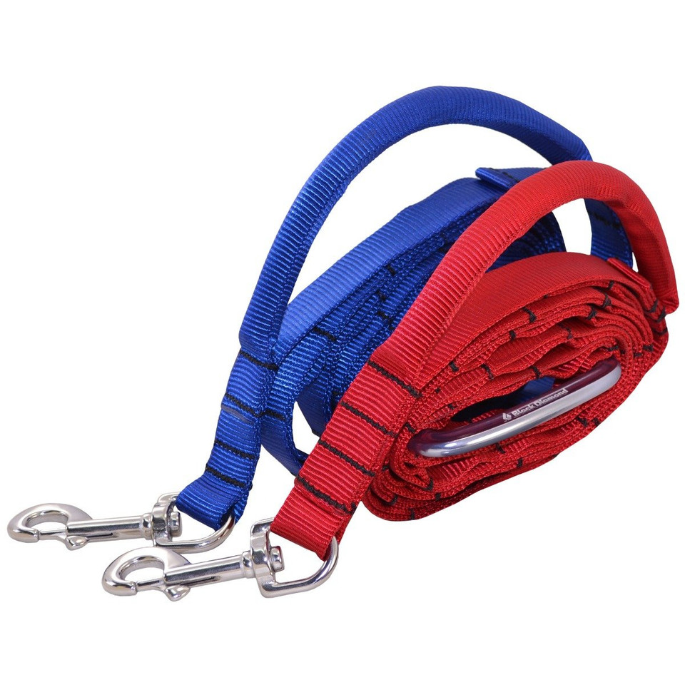 Convertible Service Dog Leash | Multipurpose Leather - Ray Allen ...