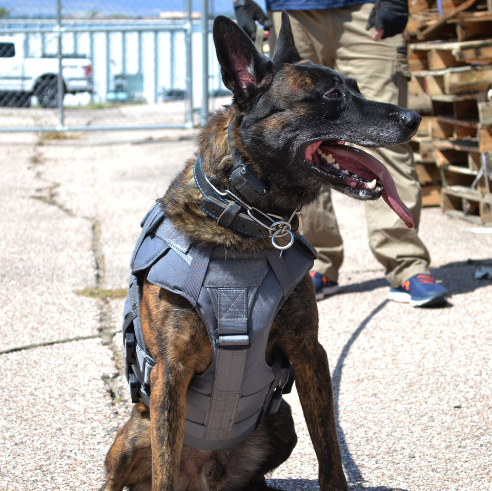 Nomad Ballistic Body™ - Complete Set | K9 Harness - Ray Allen Manufacturing