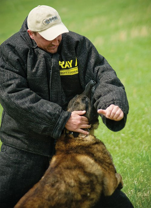 Kimono Lite Training Bite Suit | K9 Bite Training - Ray Allen Manufacturing