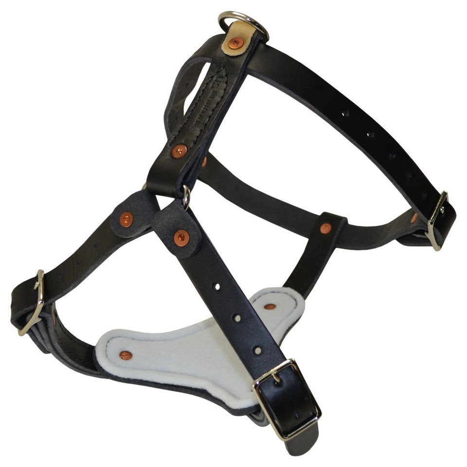 Nylon Tracking Harness | Working Dog Supplies - Ray Allen Manufacturing