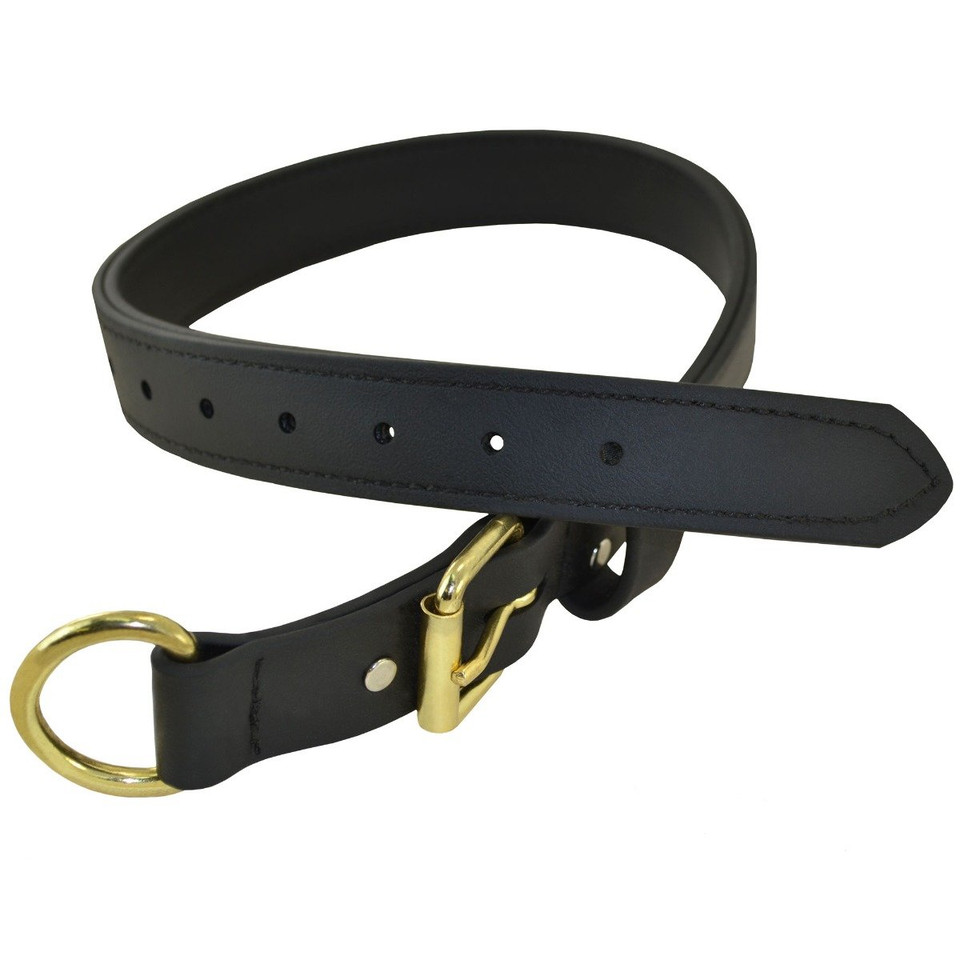 Double Layered 2" Biothane Collar | K9 Training Collars - Ray Allen ...