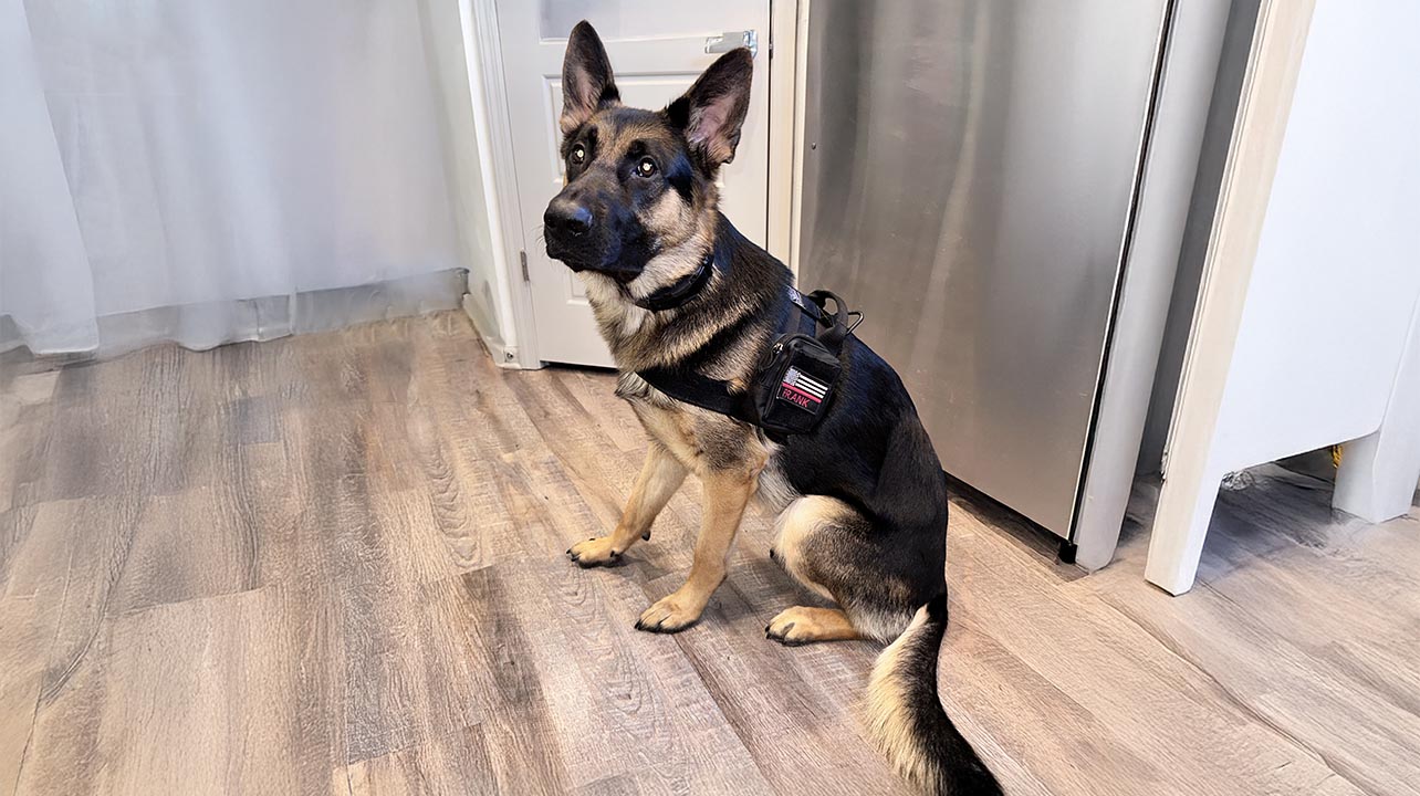 K9 Spotlight: Christy Cartaginese and Frank - Ray Allen Manufacturing