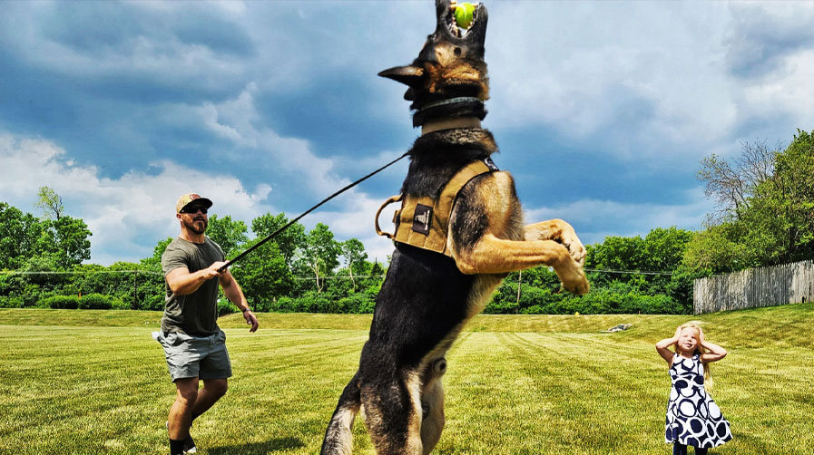 K9 Spotlight: Jordan Potts and Pablo - Ray Allen Manufacturing