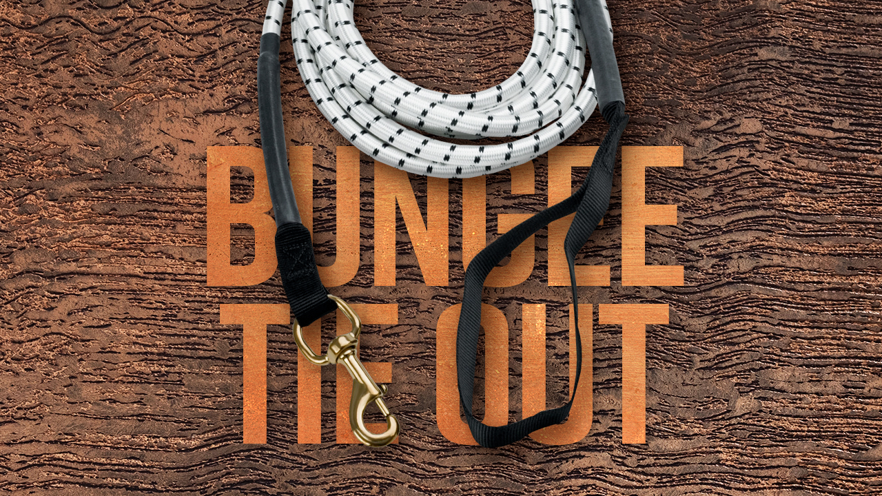 Ignite Your Dog’s Drive Using a Bungee Dog Tie-Out - Ray Allen ...