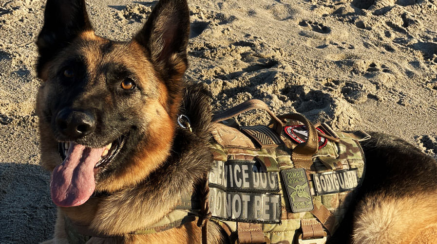 K9 Spotlight: Emily Yost and K9 Jack - Ray Allen Manufacturing