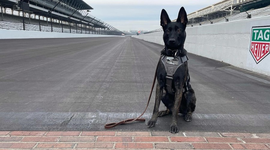 K9 Spotlight: Brennen Casey and Sasha - Ray Allen Manufacturing