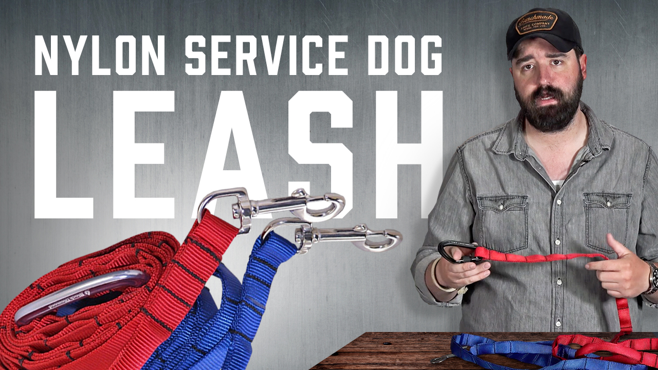 Secure, Stylish, and Functional: The Nylon Service Dog Leash - Ray ...