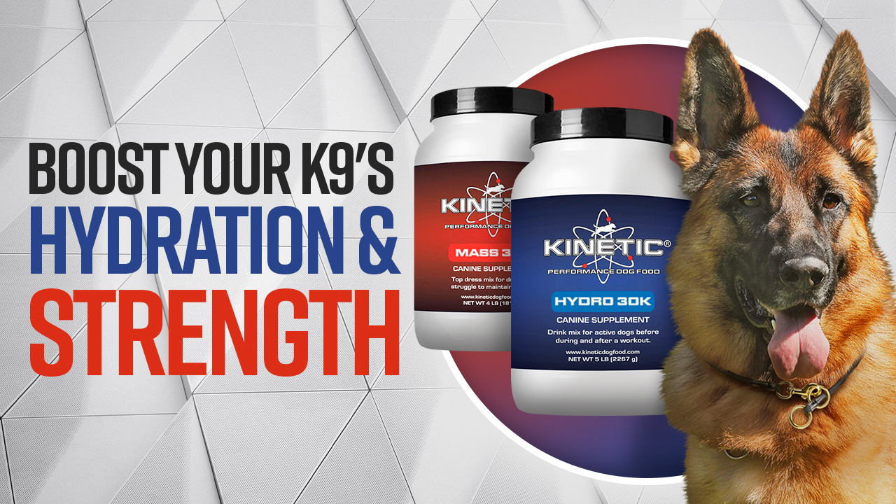 Boost Your K9's Hydration and Strength with Kinetic Dog Supplements ...