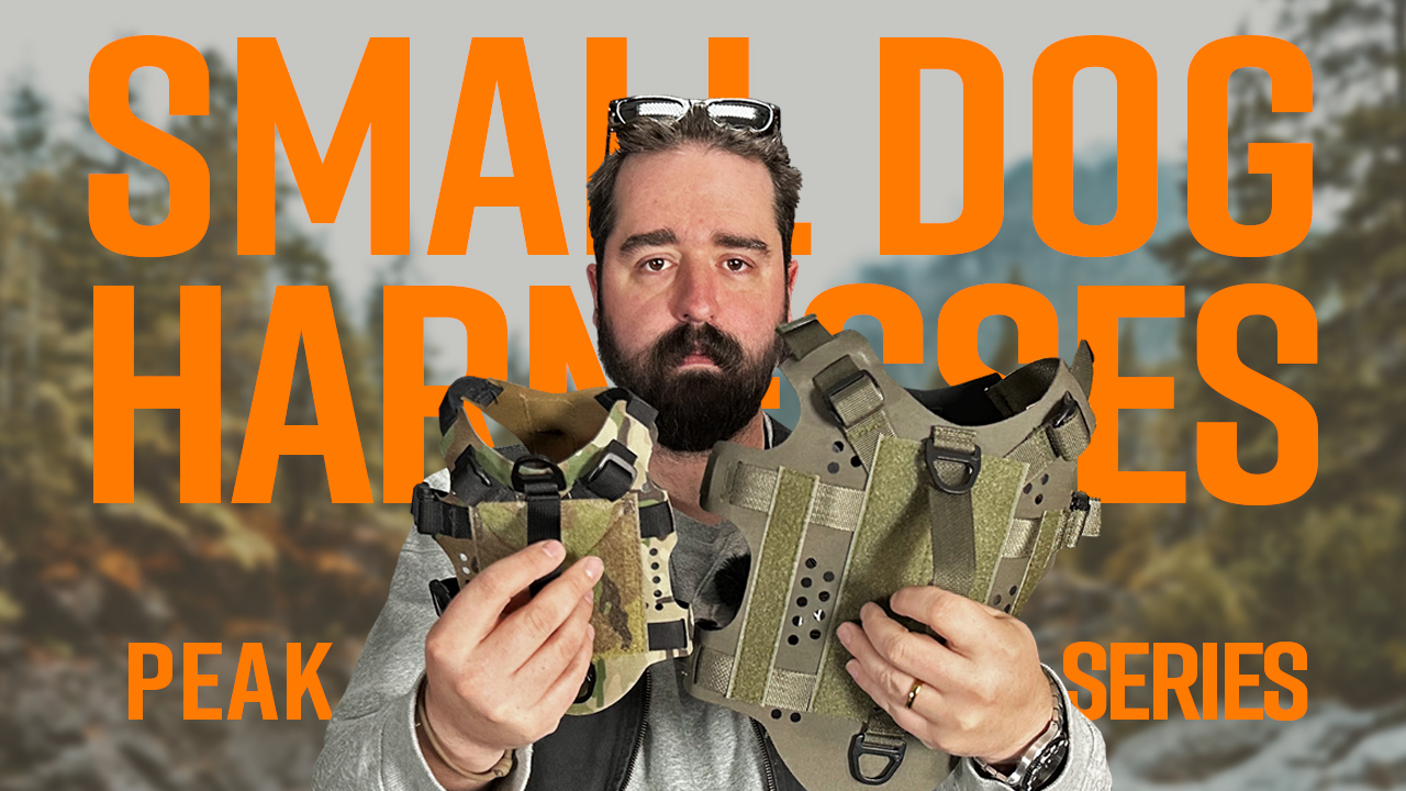 Which Peak Active Dog Harness Is Right For Your Dog? - Ray Allen ...