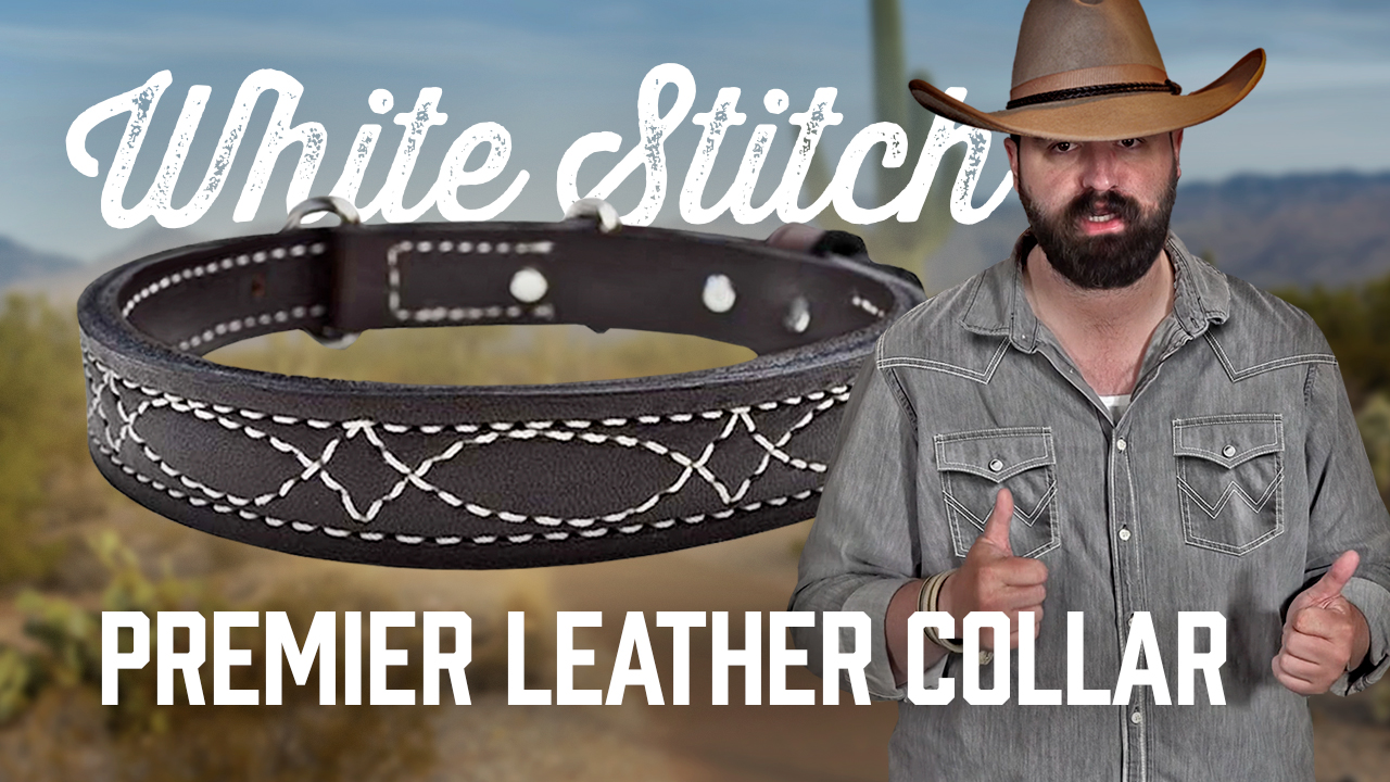 A New Look for the Timeless Premier Collar - Ray Allen Manufacturing
