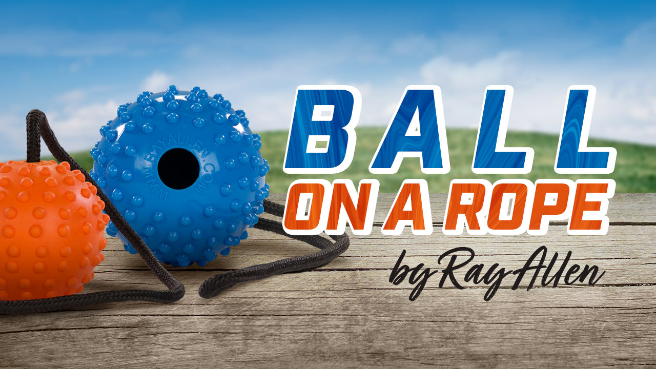 Heavy Duty Ball On A Rope For Dogs - Ray Allen Manufacturing