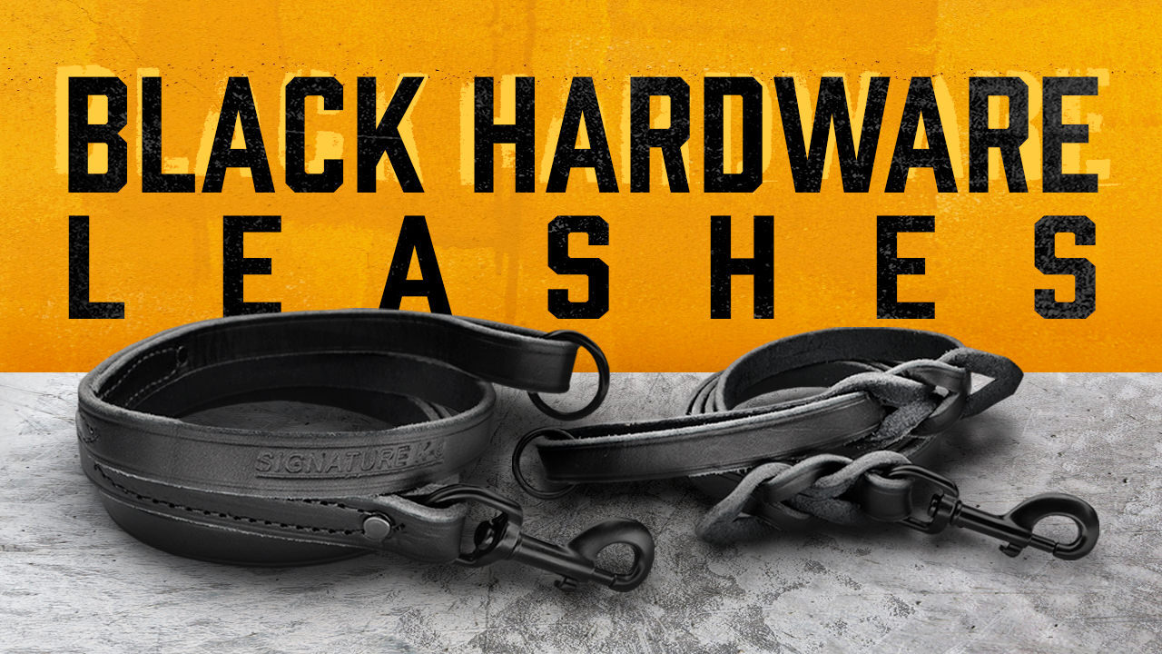 Introducing Sleek New Black on Black Leashes - Ray Allen Manufacturing