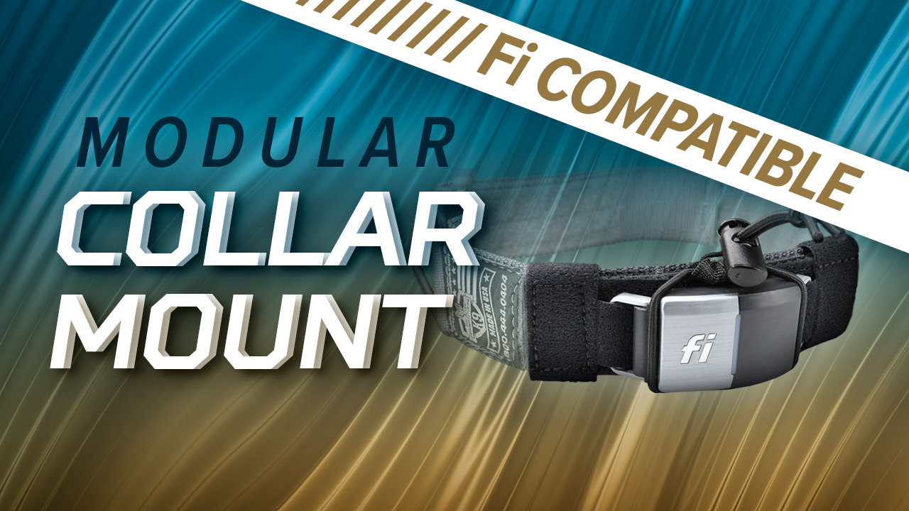 Ray Allen Fi Compatible Modular Collar Mount - Ray Allen Manufacturing