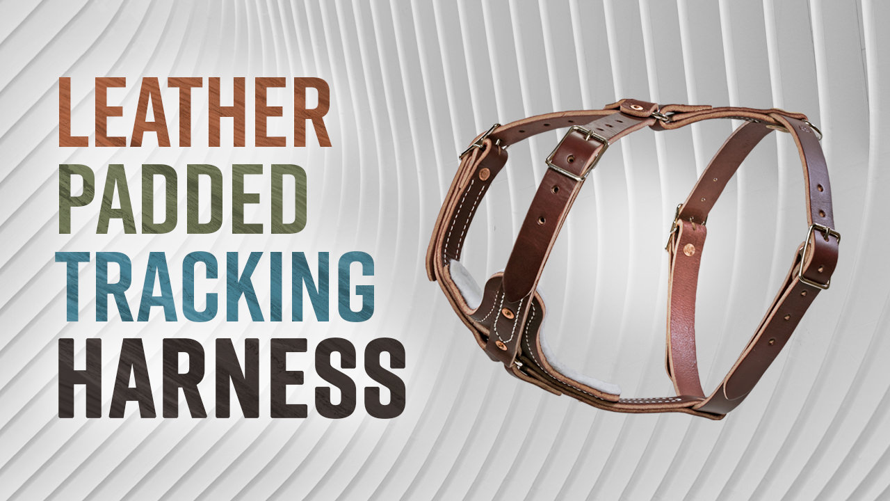 Ray Allen Leather Padded Tracking Harness - Ray Allen Manufacturing