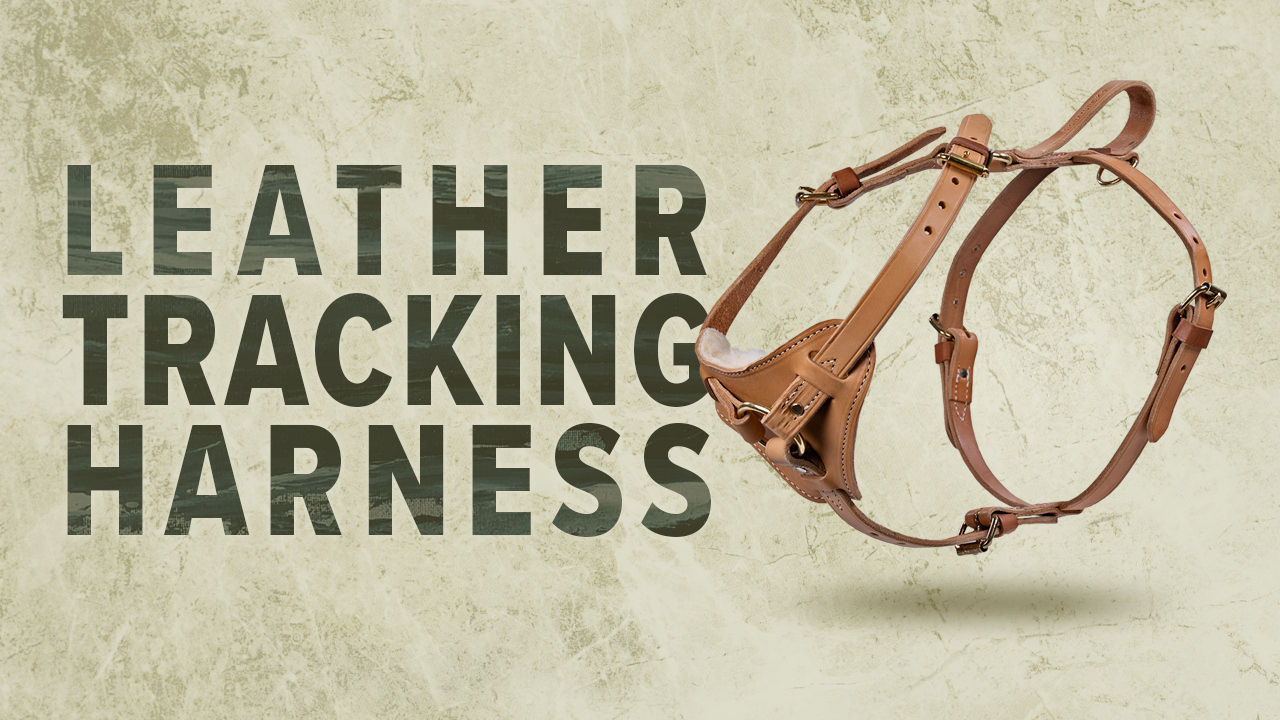 Ray Allen Leather Tracking Harness - Ray Allen Manufacturing