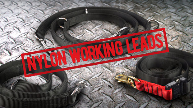 Nylon Working Dog Leads - Police and Tactical Product Review - Ray ...