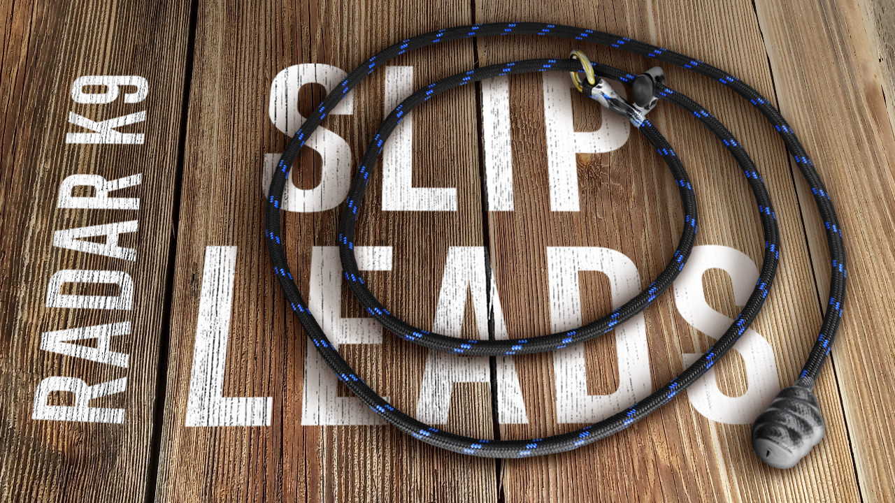 Enhance Your Training with Rader K9's Slip Leads - Ray Allen Manufacturing