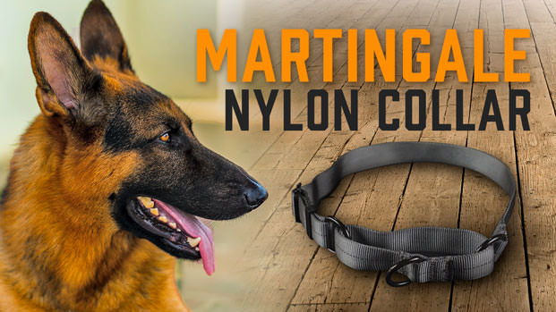Martingale Nylon Dog Collar- Simple, No-Slip Dog Collar - Ray Allen ...