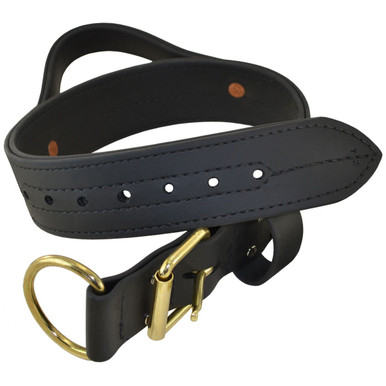 Double Layered 2" Biothane Collar | K9 Training Collars - Ray Allen ...