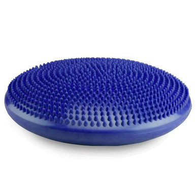 FitPAWS Balance Disc | Dog Balance Disc - Ray Allen Manufacturing