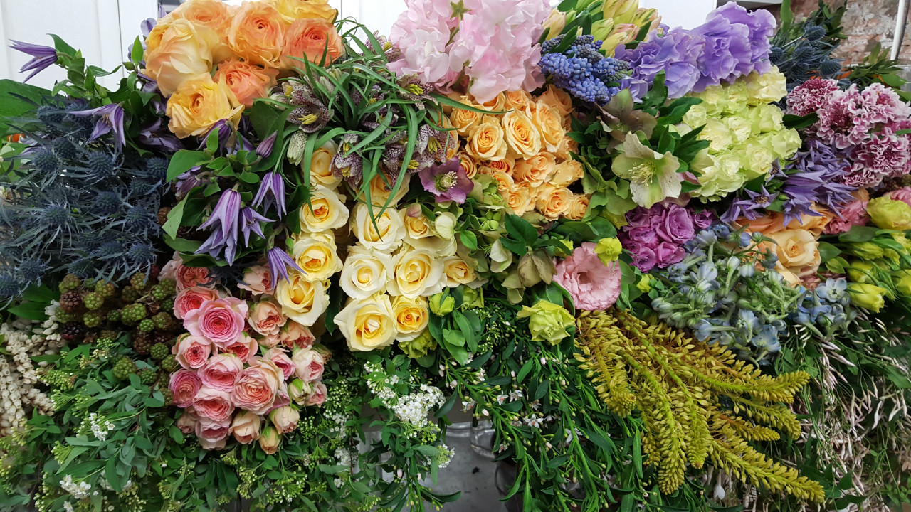 Monet Spring Collection - Orchid Dynasty