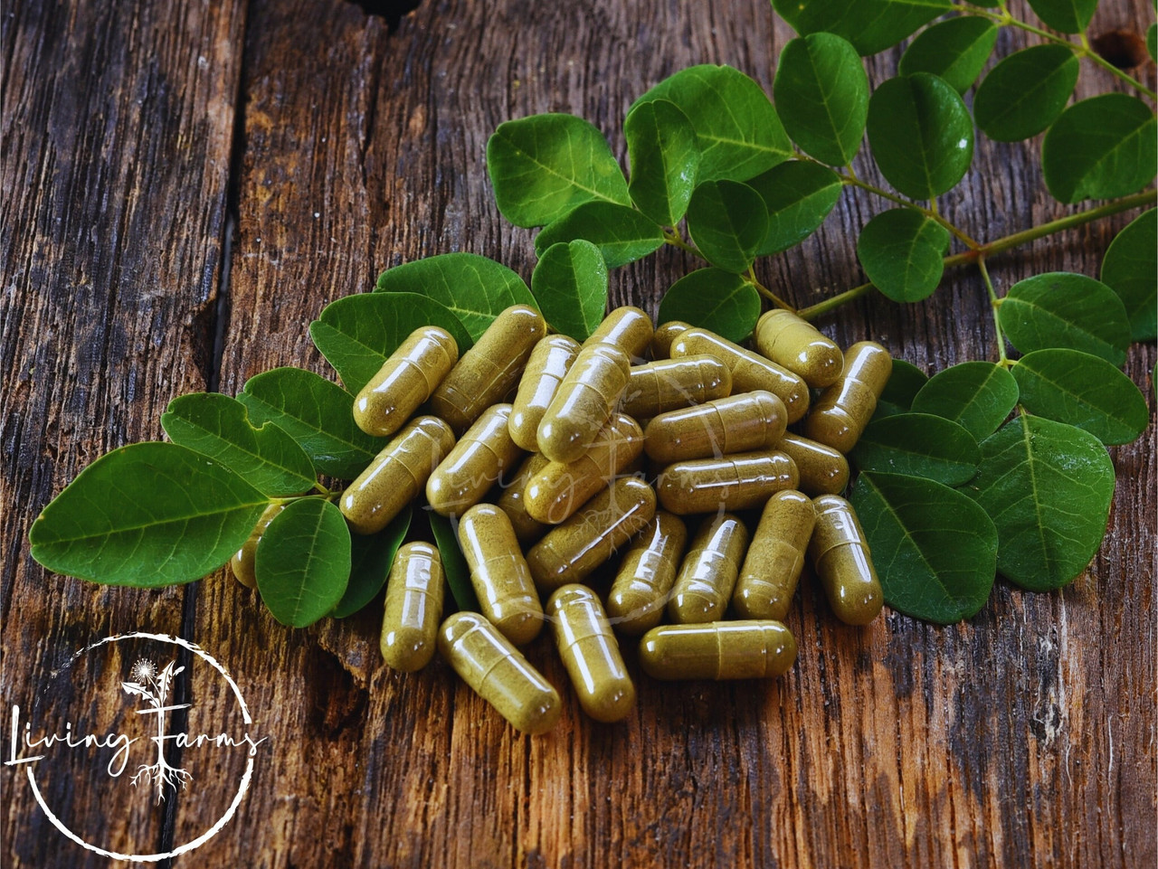 Cryptolepis Root Capsules - Living Farms